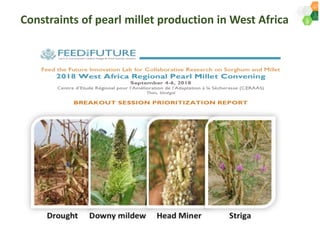 ICRISAT Governing Board 2019 PC meeting : Genetic improvement of Pearl millet for West Africa by ...