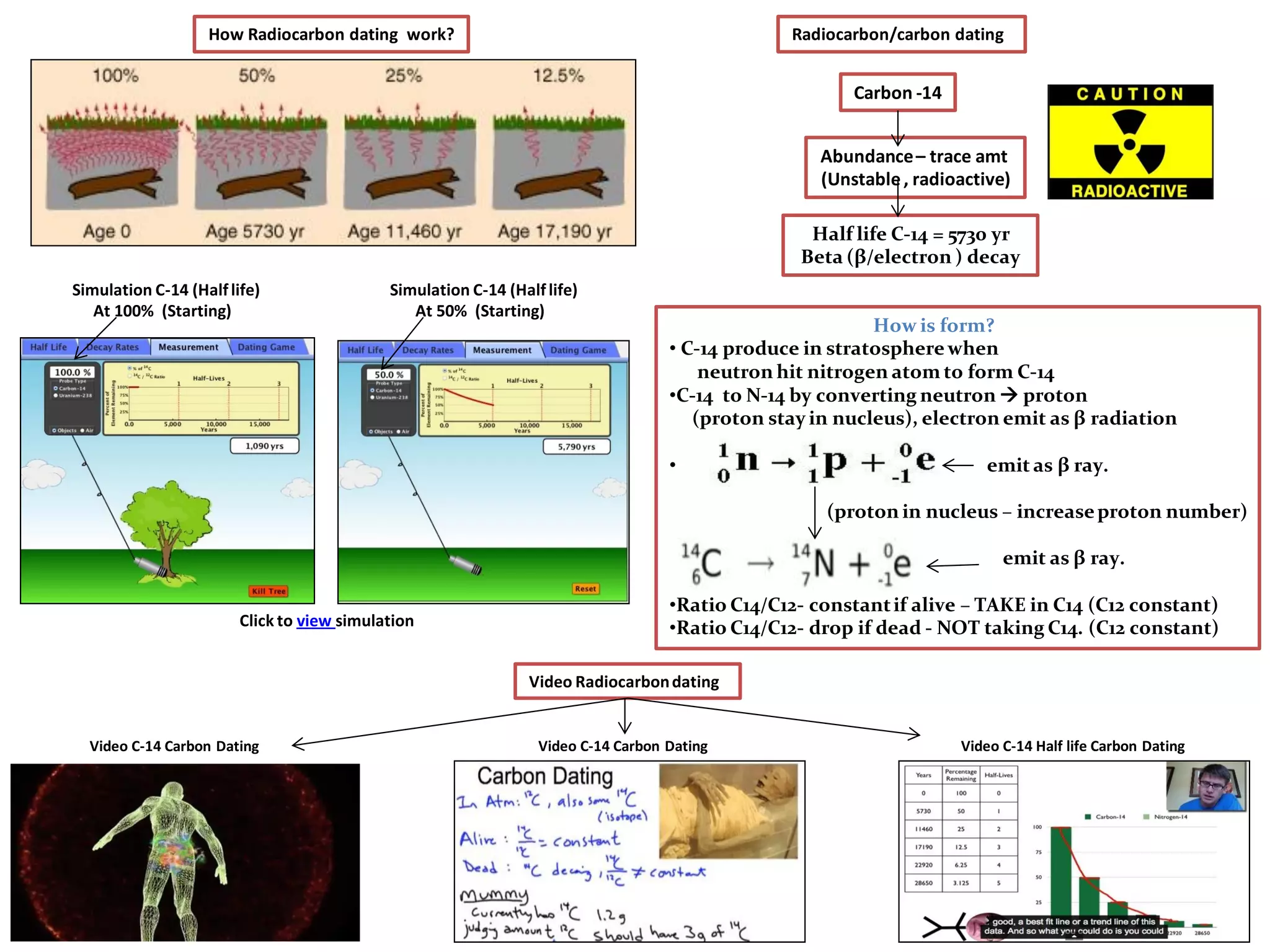 Option C Nuclear Physics, Radioactive decay and half life | PDF ...