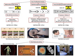 Option C Nuclear Physics, Radioactive decay and half life | PDF ...