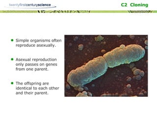Pc2.11 Cloning Science Fiction Vs. Science Fact | PPT