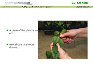 Pc2.11 Cloning Science Fiction Vs. Science Fact | PPT