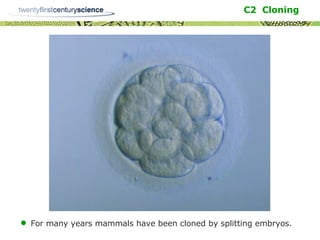 Pc2.11 Cloning Science Fiction Vs. Science Fact | PPT