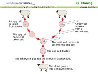 Pc2.11 Cloning Science Fiction Vs. Science Fact | PPT