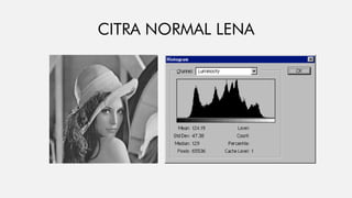 Pengolahan Citra 4 - Histogram Citra | PDF
