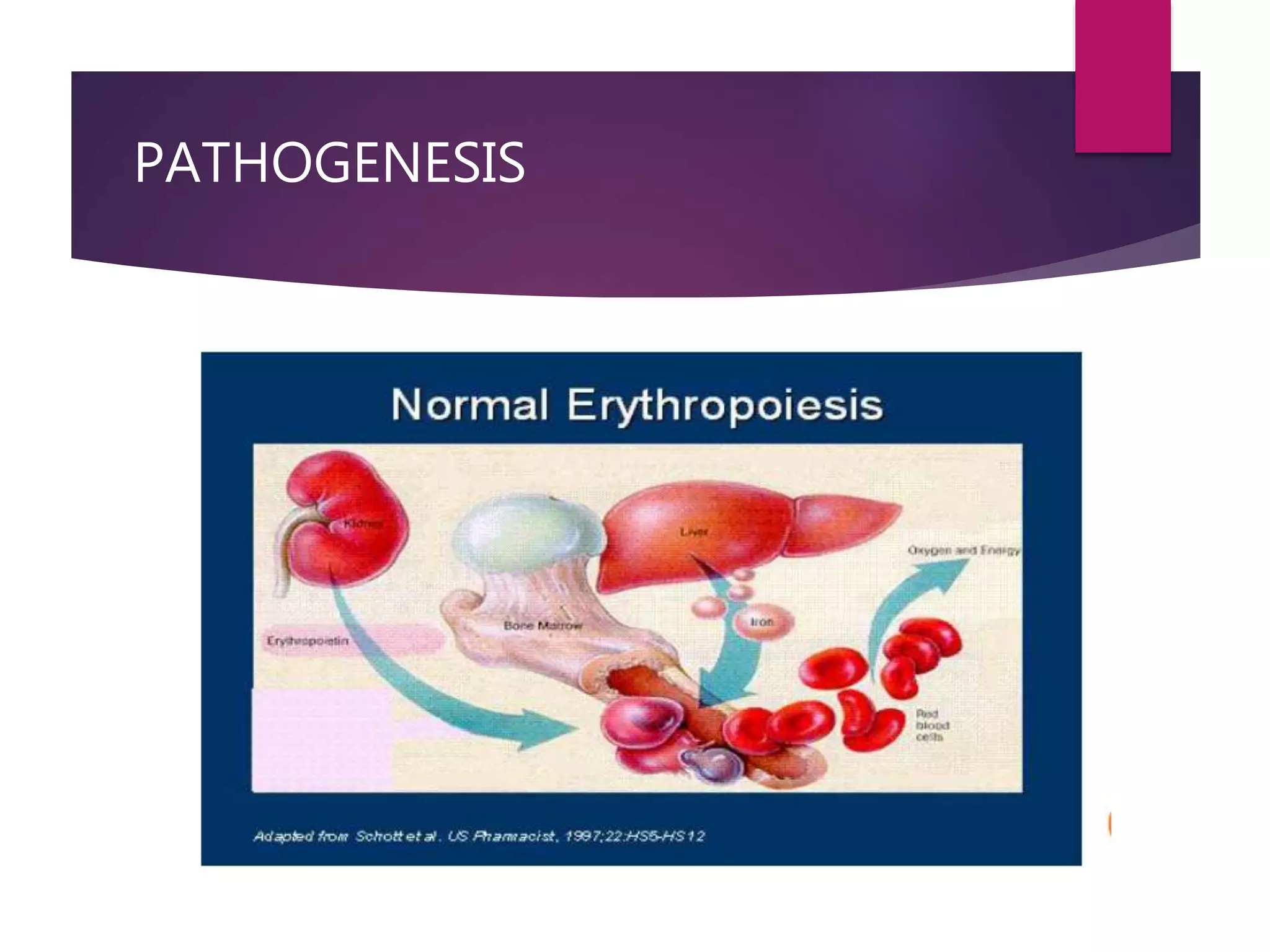 PATHO-PHYSIOLOGY OF RHEUMATOID ARTHRITIS, GOUT & ANEMIA | PPTX