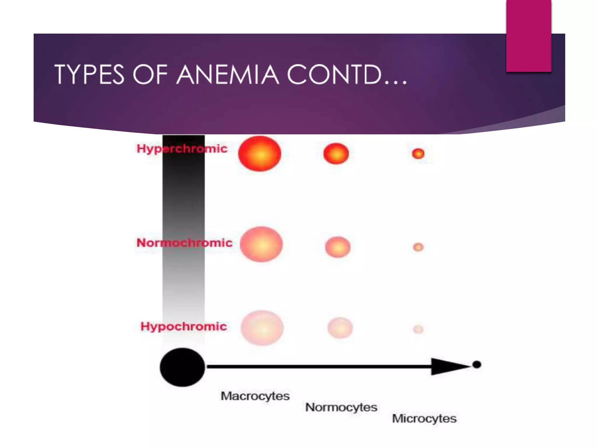 PATHO-PHYSIOLOGY OF RHEUMATOID ARTHRITIS, GOUT & ANEMIA | PPTX