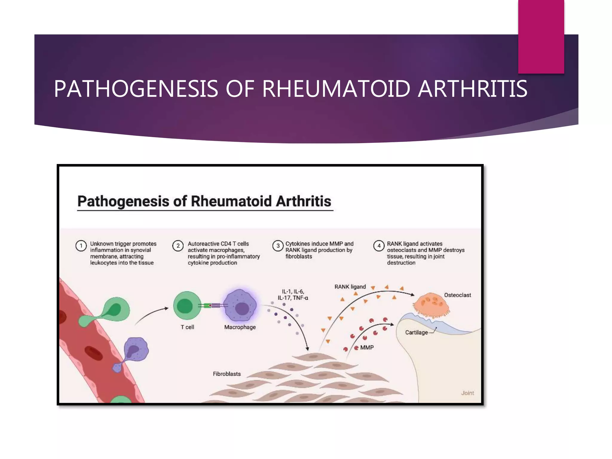 PATHO-PHYSIOLOGY OF RHEUMATOID ARTHRITIS, GOUT & ANEMIA | PPTX