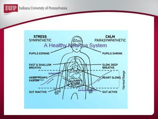 Healing Trauma through Somatic Experiencing and Gestalt Therapy | PDF