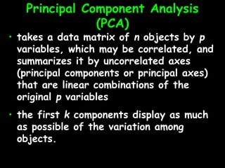 PCA.ppt