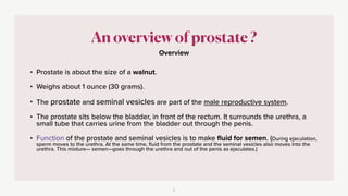 A brief review on prostate and prostate cancer | PDF