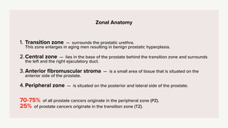 A brief review on prostate and prostate cancer | PDF | Cancer ...