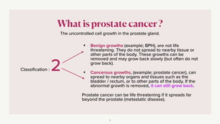A brief review on prostate and prostate cancer | PDF