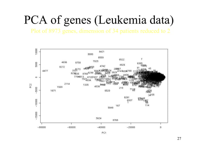 Principal Component Analysis (PCA):How to conduct PCA | PPT