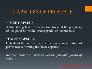 Prostate cancer Organ Confined by Dr. Ali Mujtaba | PPT