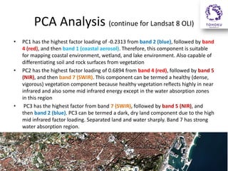 PCA and Classification | PPT