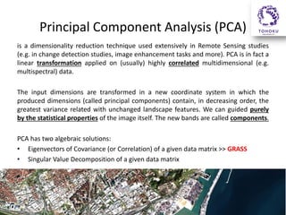 PCA and Classification | PPT