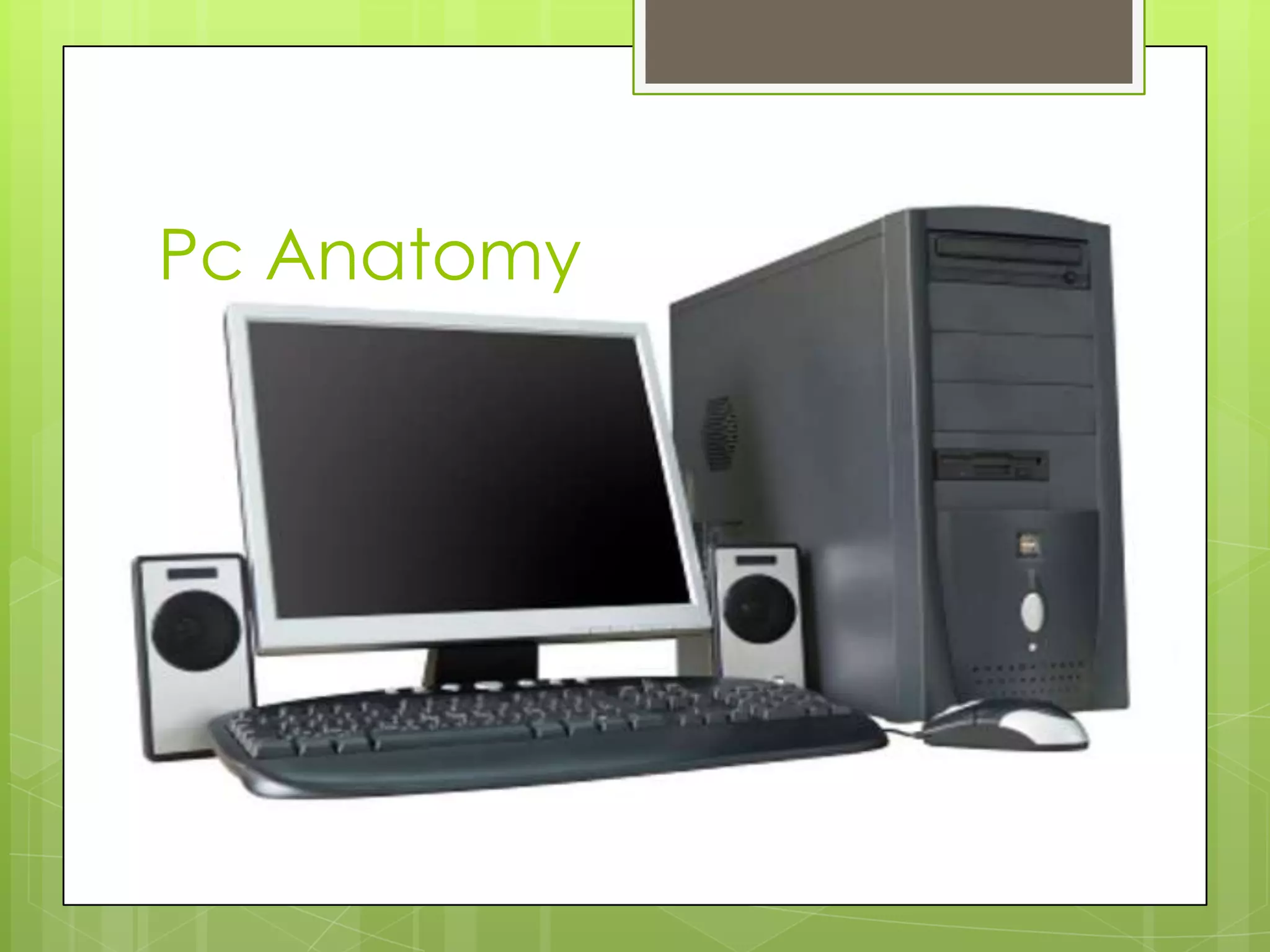 Pc anatomy | PPTX