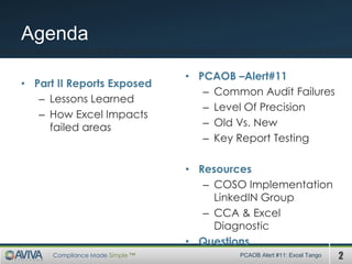 PCAOB Audit Alert #11: New Internal Control Testing Standards & Excel ...