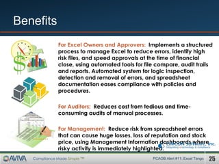 PCAOB Audit Alert #11: New Internal Control Testing Standards & Excel ...
