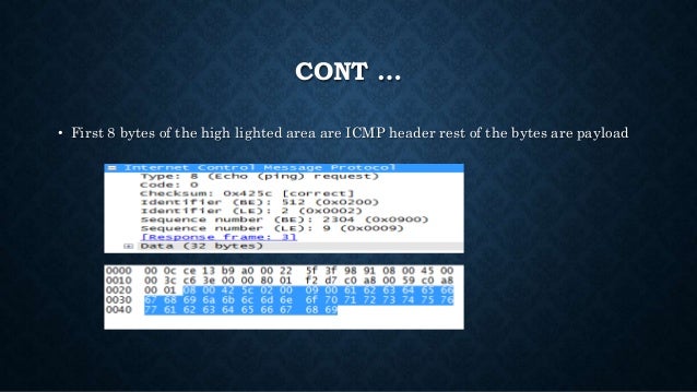 Pcap Headers Description