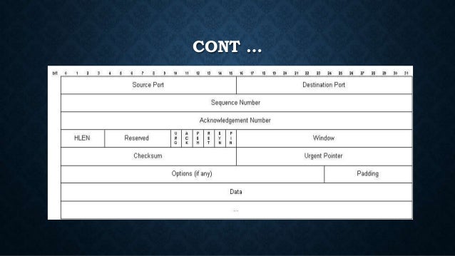 Pcap Headers Description