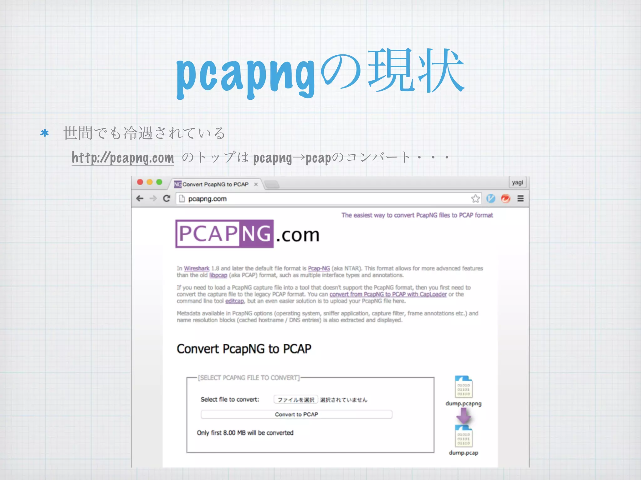 Pcapngを読んでみる | PDF