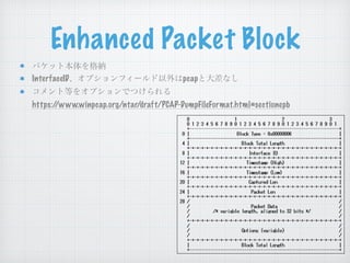 Pcapngを読んでみる | PDF