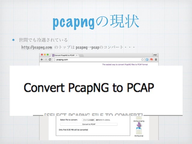 Pcapngを読んでみる | PDF
