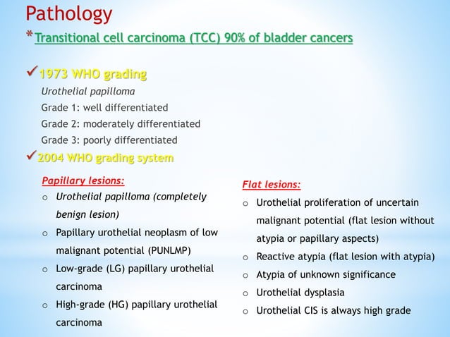 pca prstate cancer management ppt.pptx