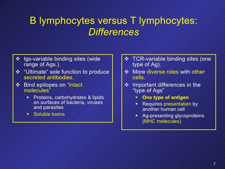 Chapter 5 Immunology
