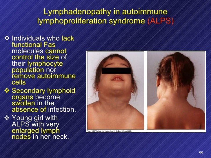 Immunology chapter 8
