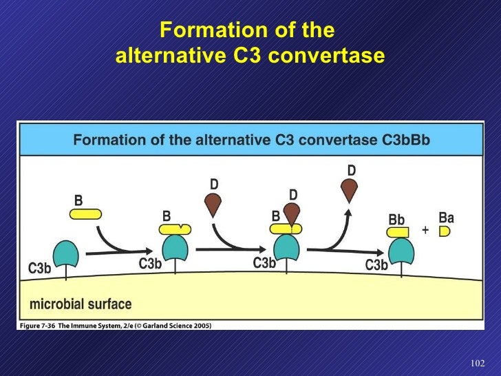 Immunology Chapter 9