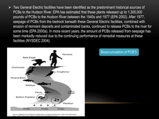poly chlorinated biphenyls contamination in hudson river | PPTX