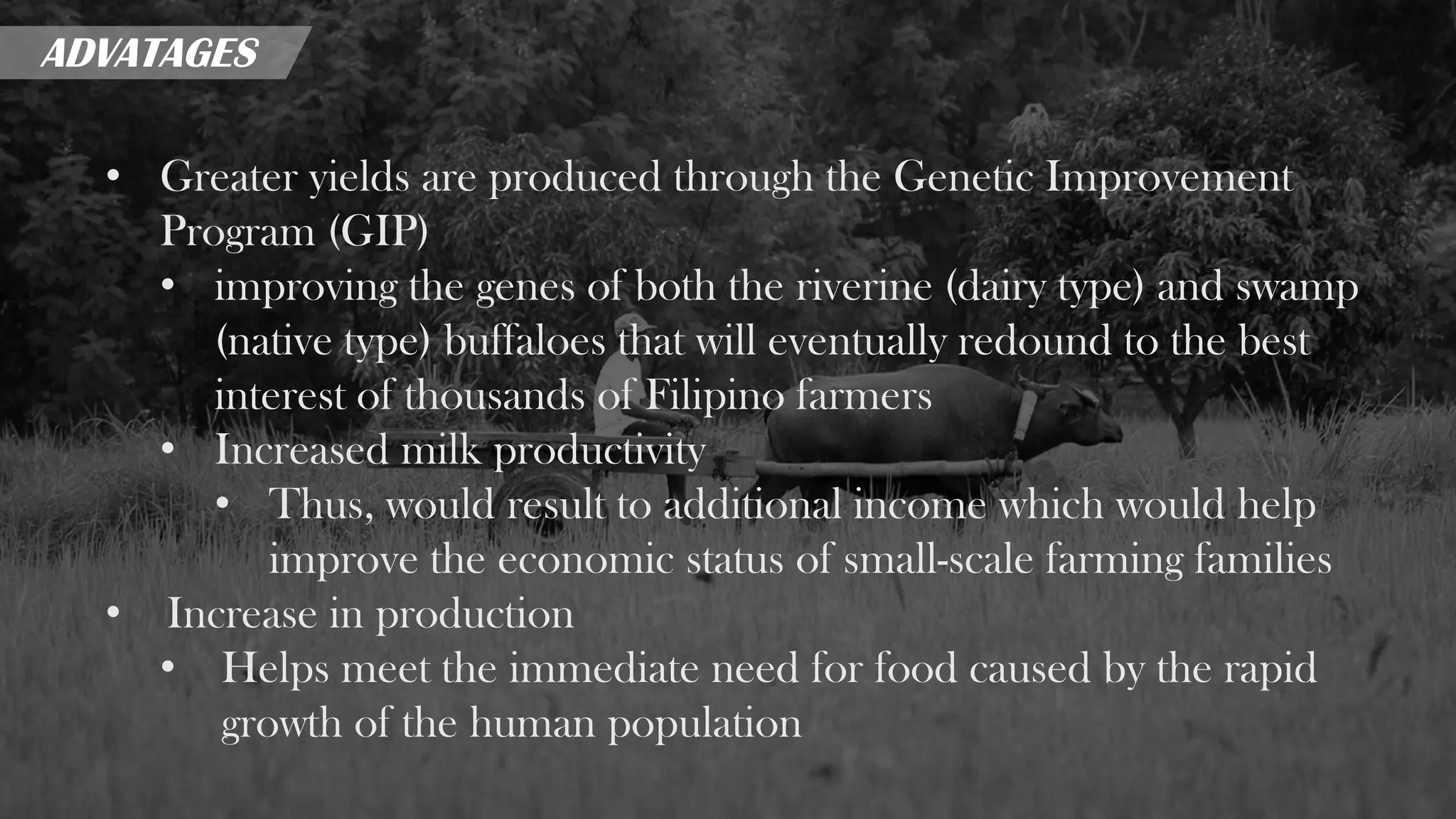 Philippine Carabao Center - reporting | PPTX
