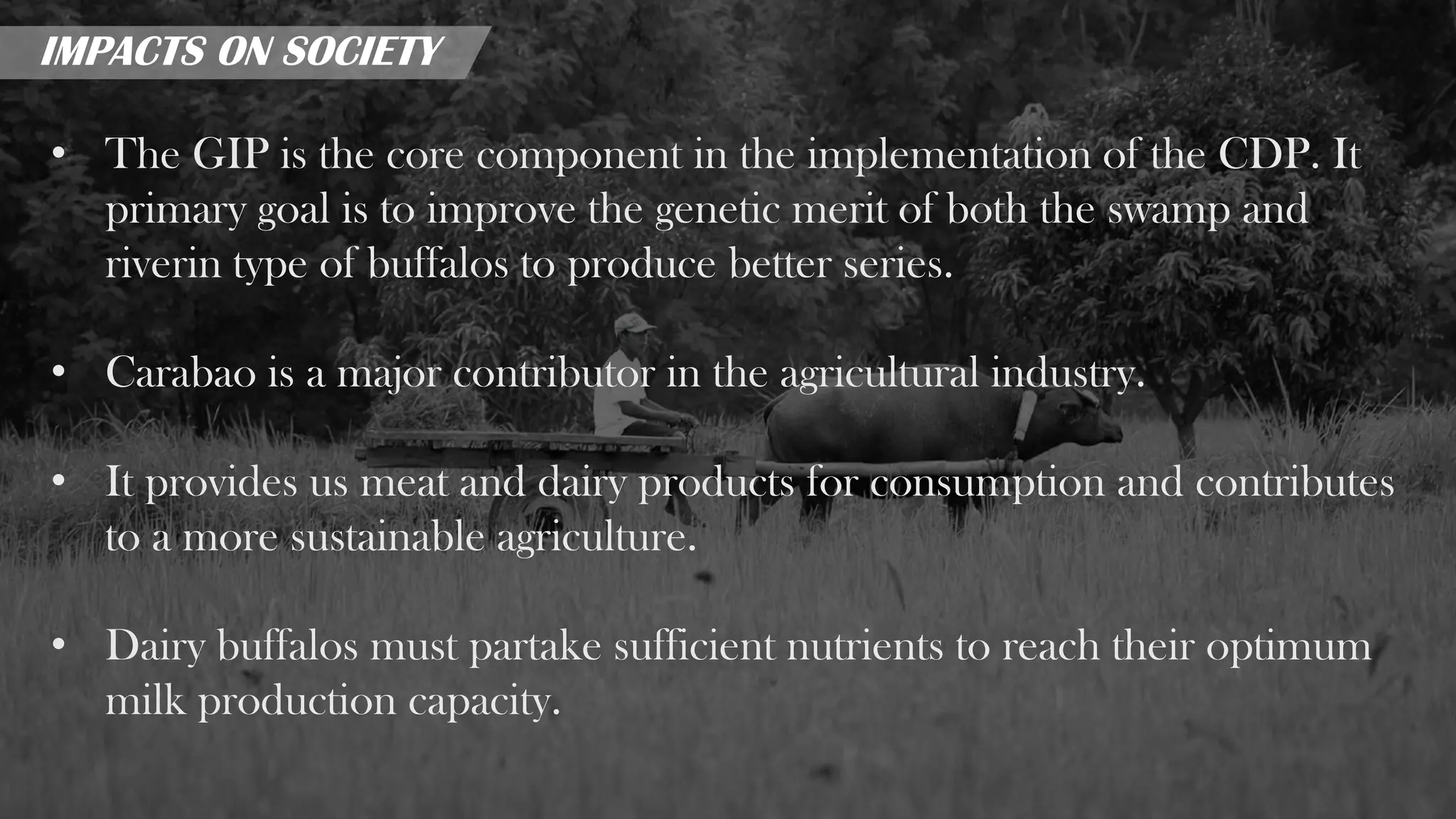 Philippine Carabao Center - reporting | PPTX