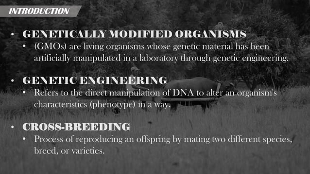 Philippine Carabao Center - reporting | PPTX