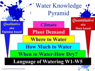 PCC 2019: Watering Tricks & Techniques for Better Plug & Liner Growth | PDF