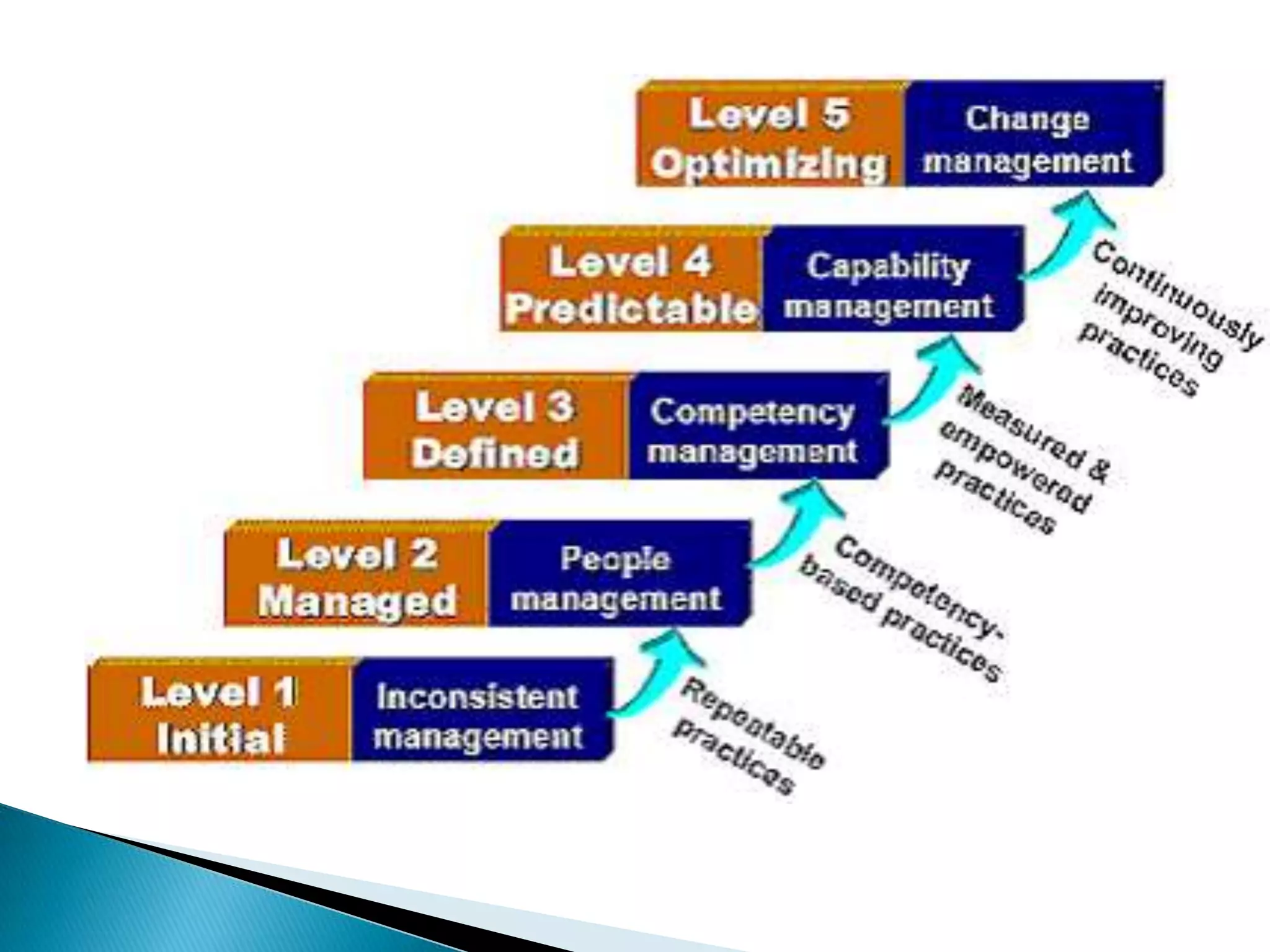 People capability maturity model | PPTX