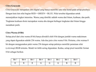 Pcd 04 - jenis dan format citra | PDF