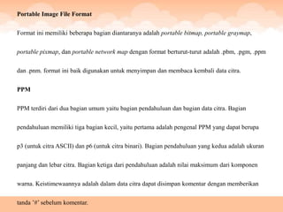 Pcd 04 - jenis dan format citra | PDF