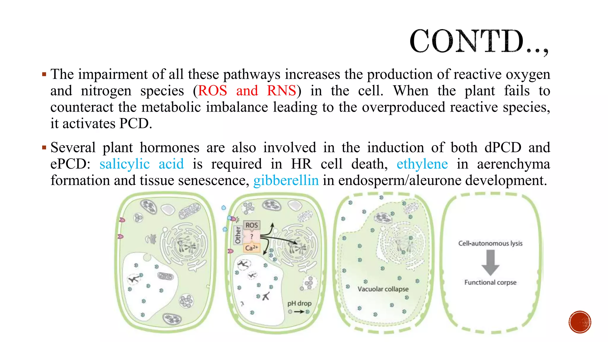 PROGRAMMED CELL DEATH | PPTX