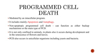 PROGRAMMED CELL DEATH | PPTX