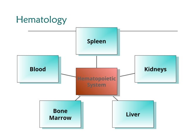 PCD -HEMATOLOGY PHYSICAL EXAMINATION.ppt | Blood Disorders | Diseases ...