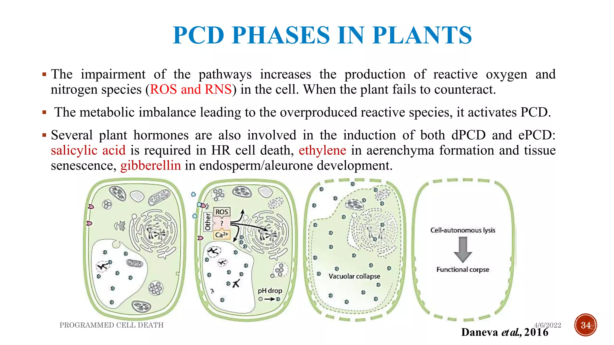 Pcd 4 th seminar | PPTX