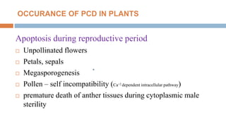 Programmed Cell Death | PPTX