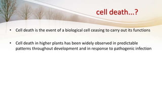 Programmed Cell Death | PPTX