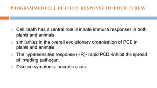 Programmed Cell Death | PPTX