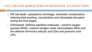 Programmed Cell Death | PPTX