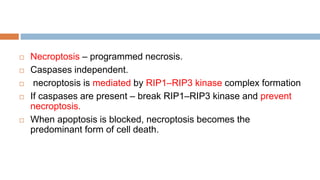 Programmed Cell Death | PPTX