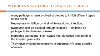 Programmed Cell Death | PPTX